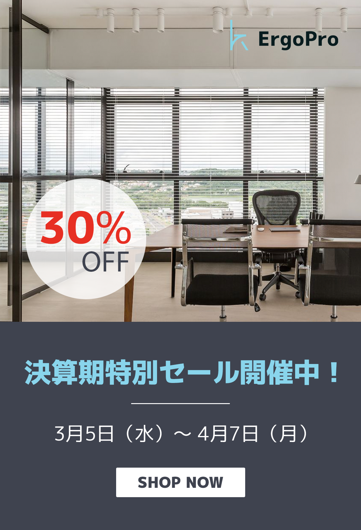 ErgoPro | 最高品質のオフィス家具をお手頃価格で提供